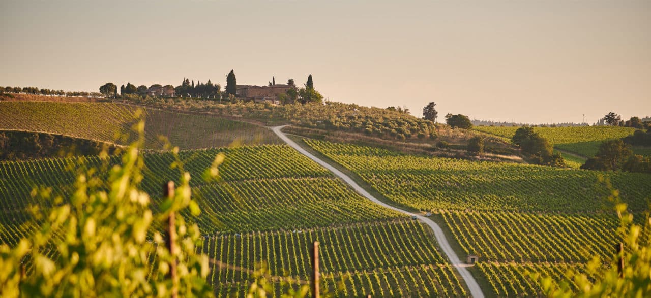 Tuscany Tour 2023 - Zoom Q&A Session